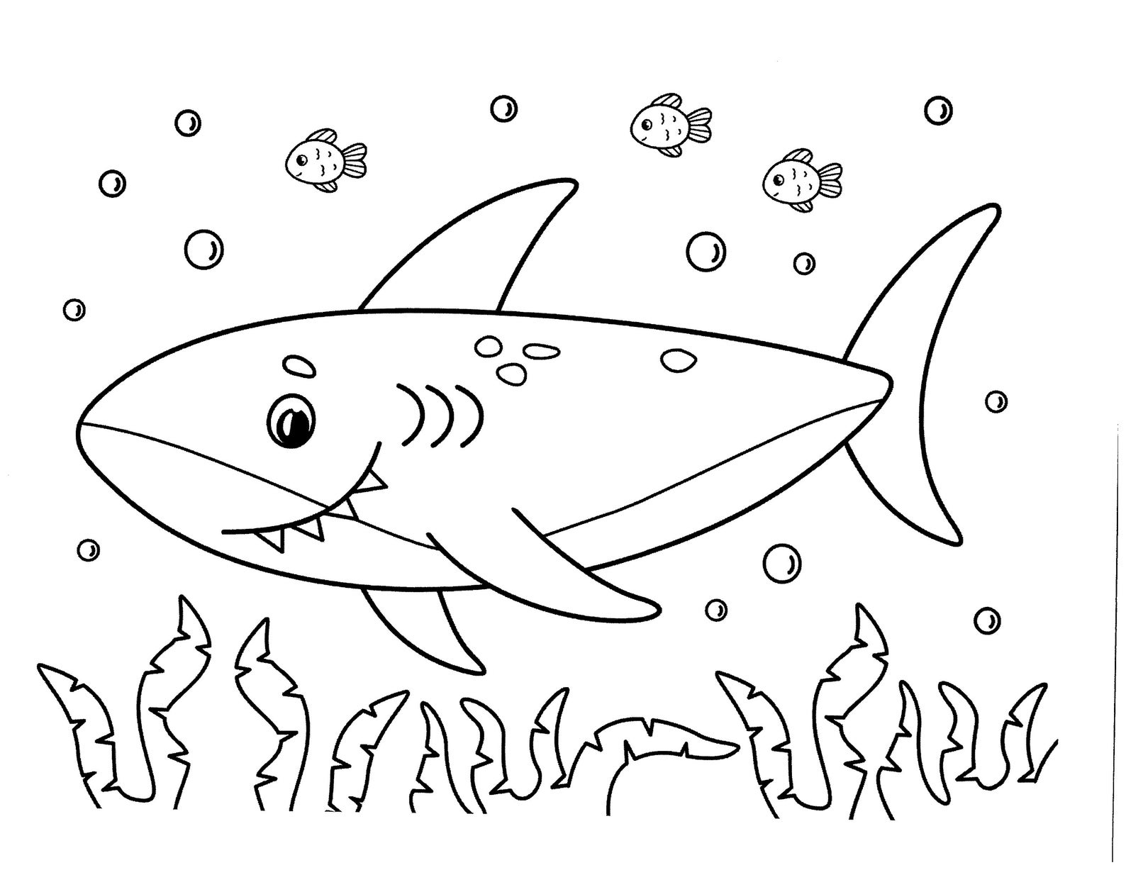 40 Adorable Animal Coloring Pages- Instant PDF Download - Etsy