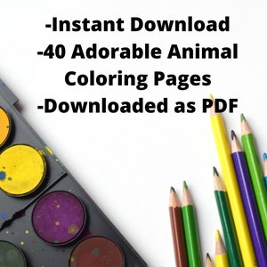 40 Adorable Animal Coloring Pages- Instant PDF Download - Etsy