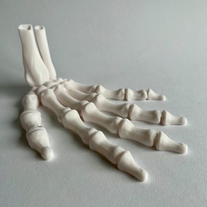 Realistic Articulating Skeleton Hand - Spooktacular Halloween ...