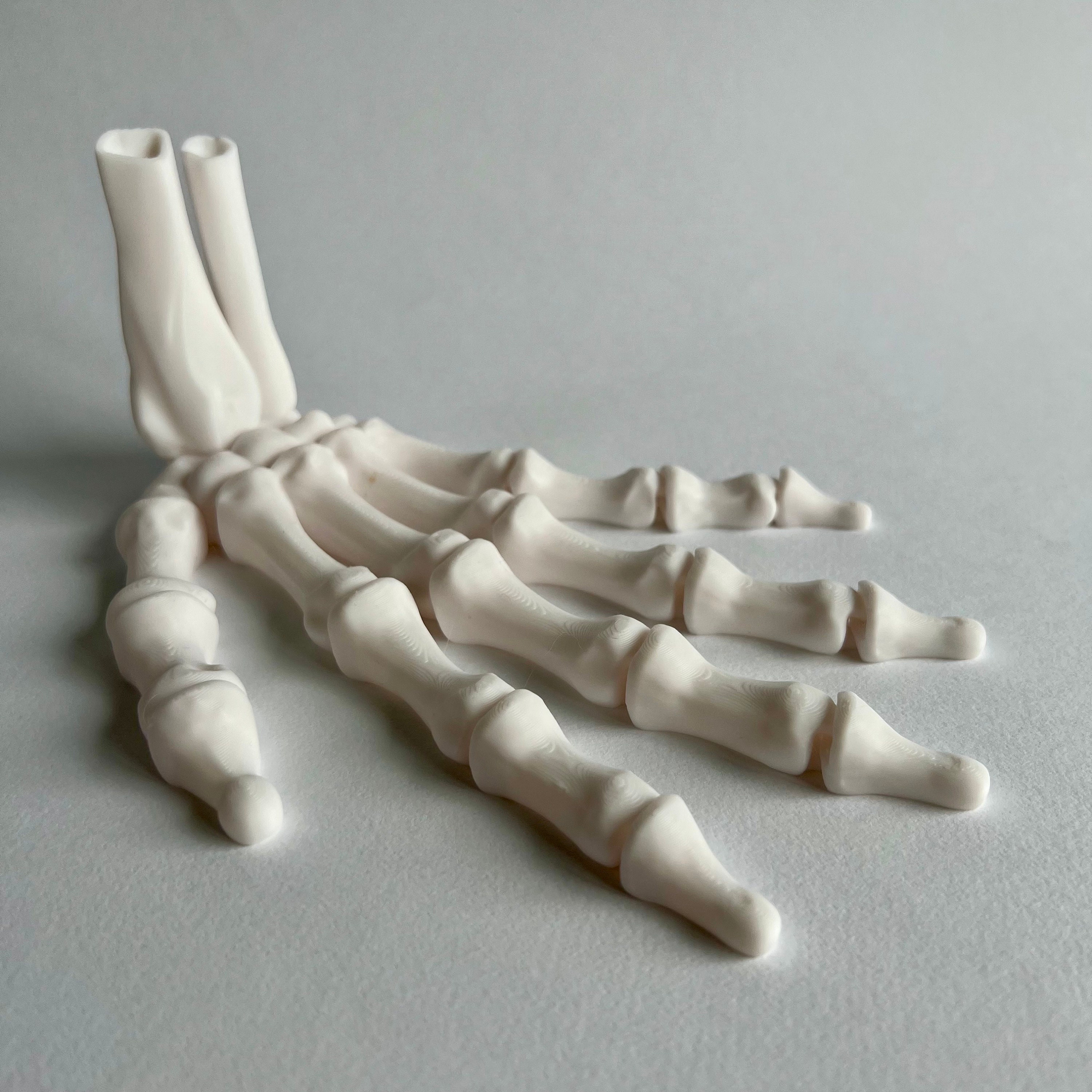 Realistic Articulating Skeleton Hand - Spooktacular Halloween ...