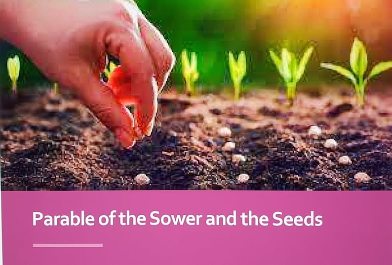 Parable of the Sower and the Seeds - Etsy
