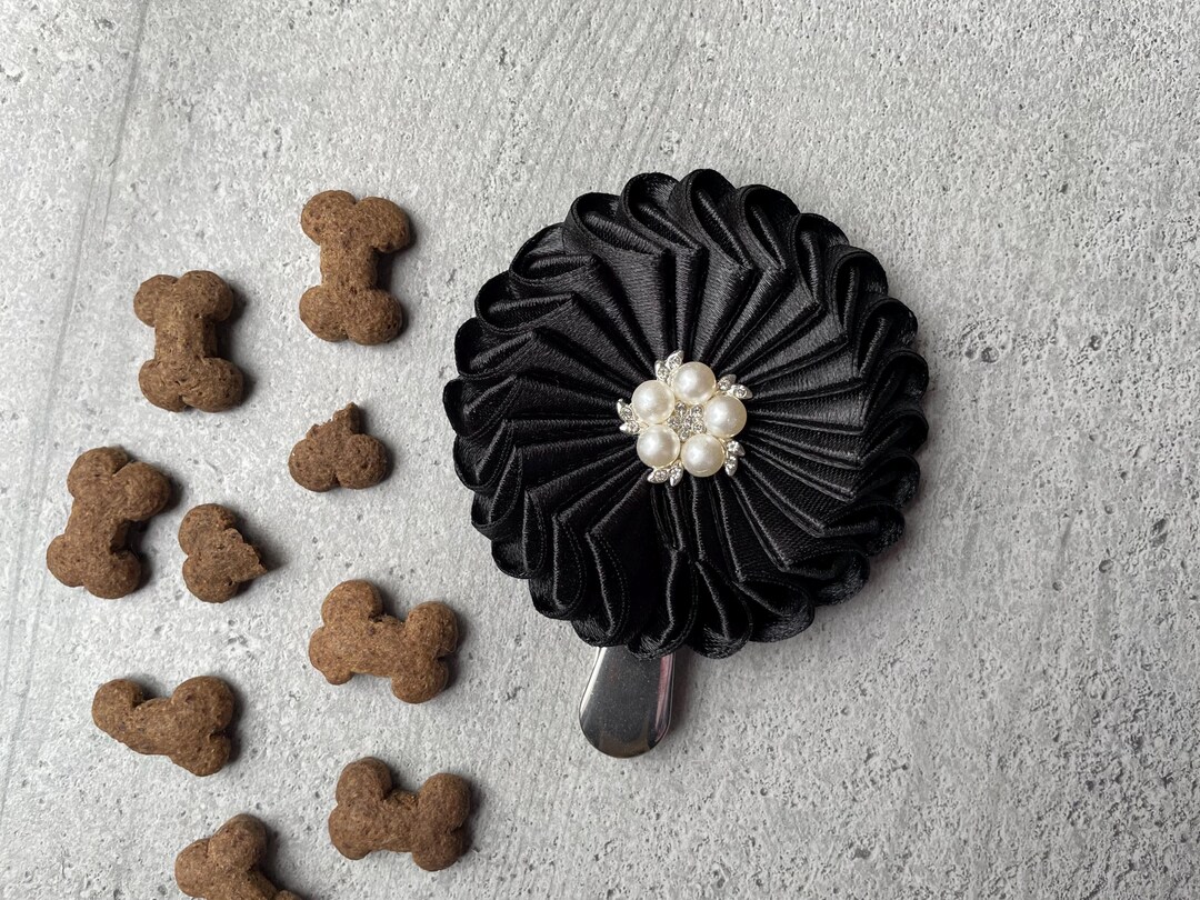 Set of Ten Dog Show Number Clips / Dog Show Prizes / Satin Ribbon ...