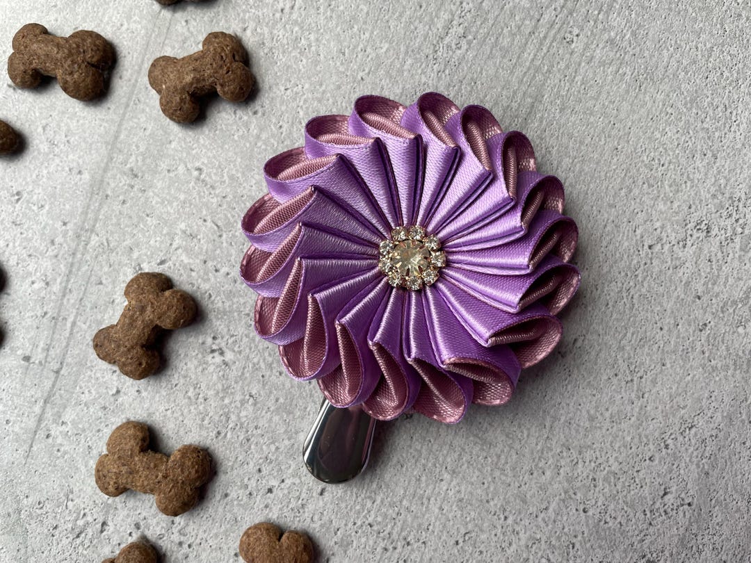 Dog Show Number Holder / Dog Show Clip / Show Number Clip / Dog Show ...