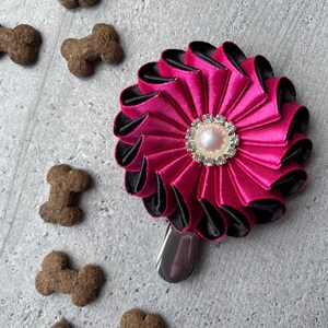 Dog Show Prize / Dog Show Number Holder / Dog Show Number Clip ...