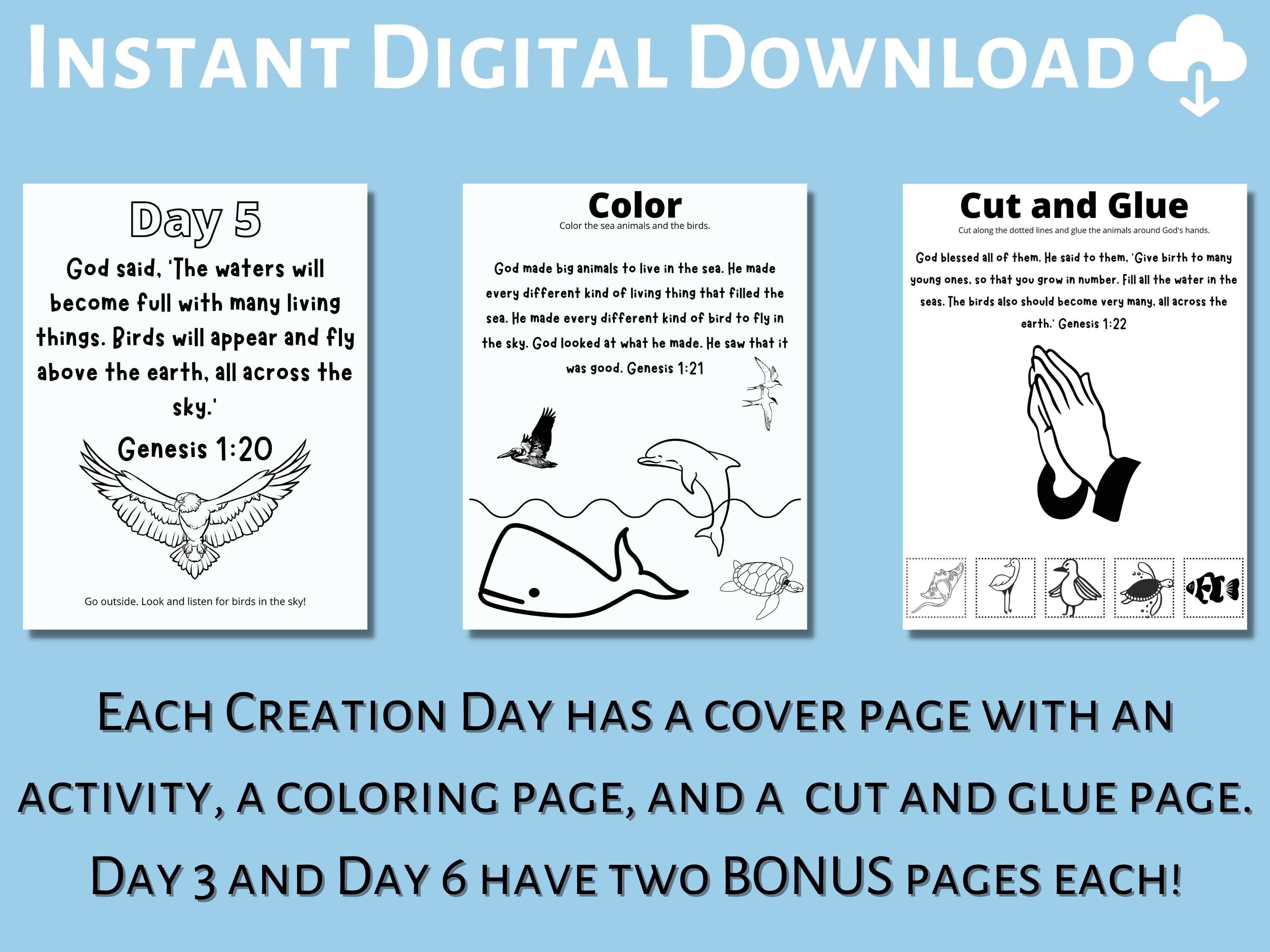 Bible Lessons for Kids: Genesis - Etsy