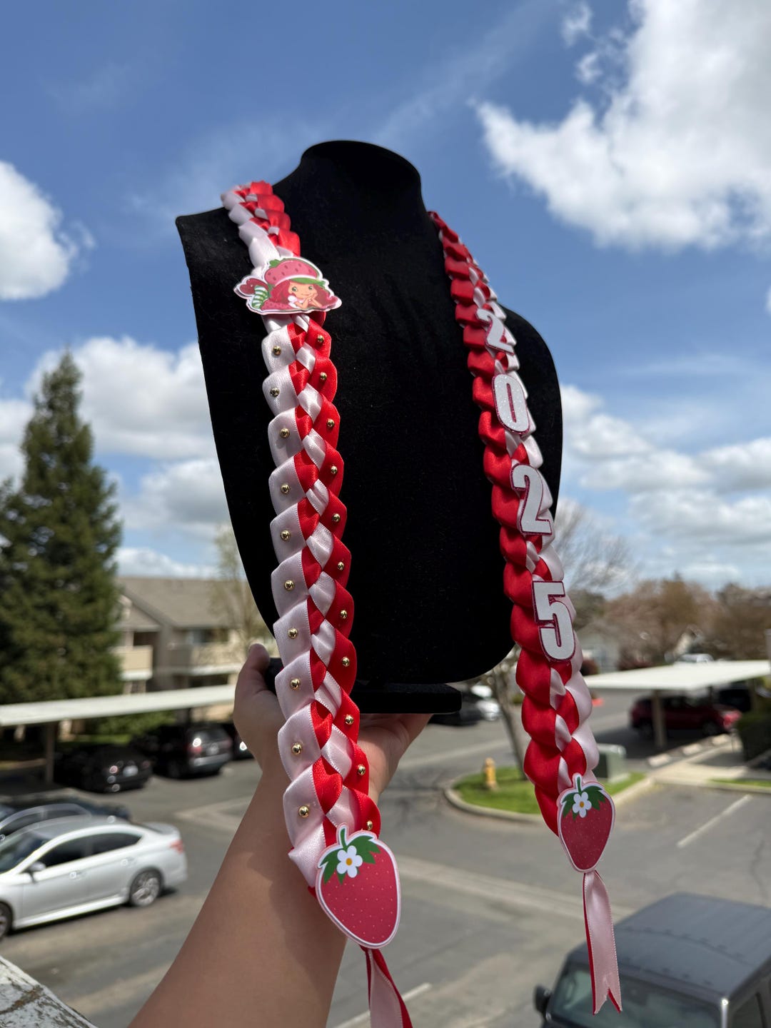 Strawberry Shortcake Graduation Lei - Etsy