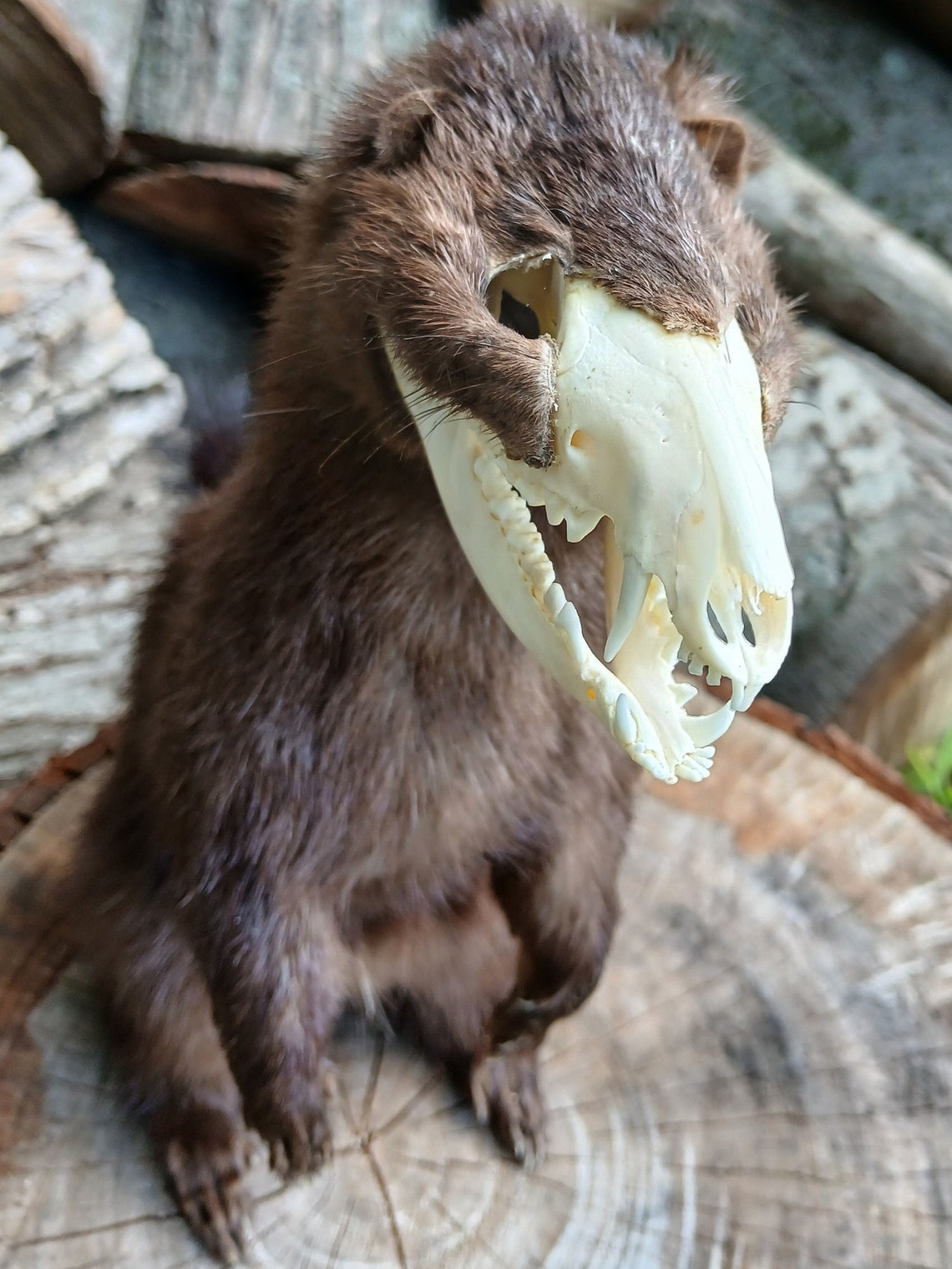 Baby Wendigo - Etsy