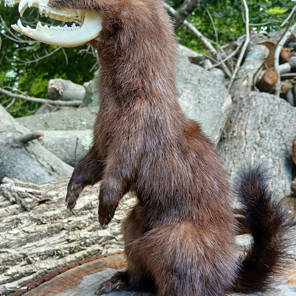 Wendigo Costume - Etsy