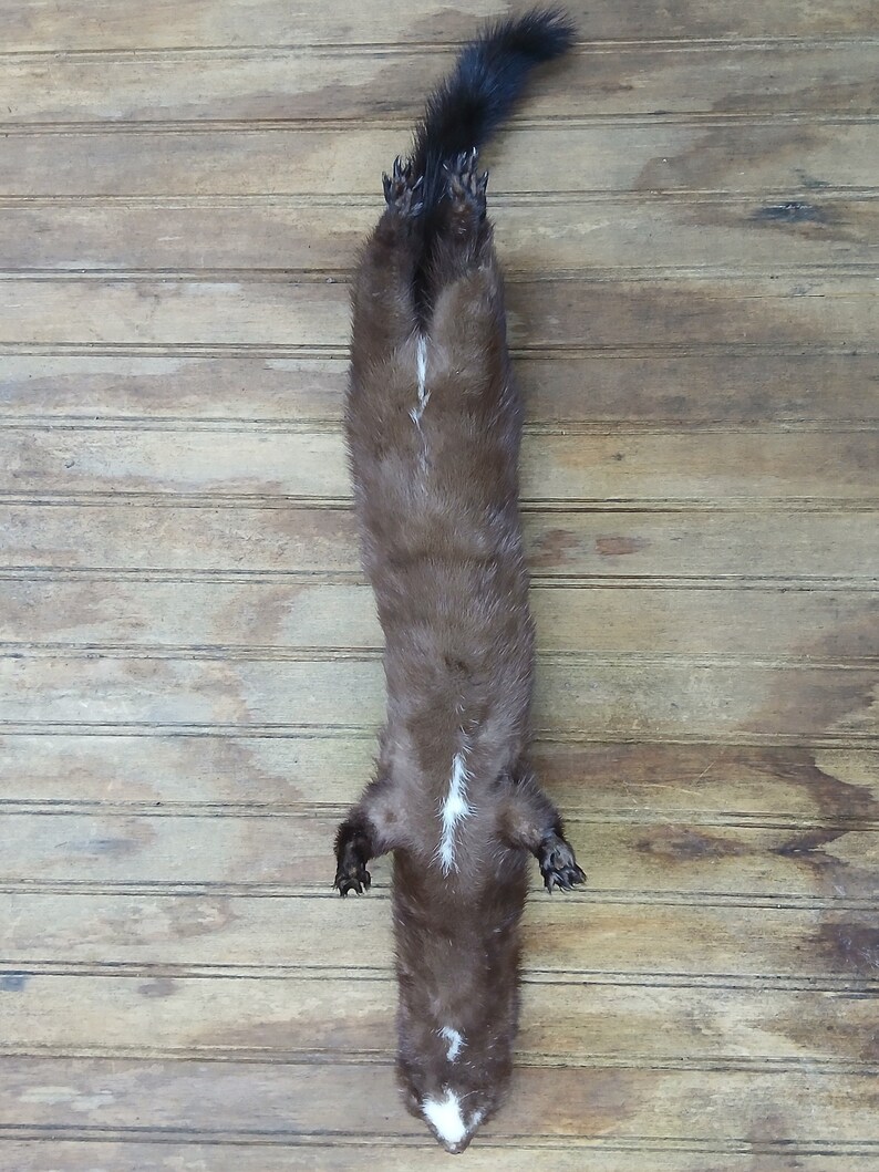 Mink Soft Mount - Etsy