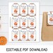 Printable Out Little Pumpkin Thank You Tags Favor Tags - Etsy