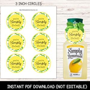 Lemonade Gift Tag: Employee Teacher Appreciation (instant Download) - Etsy