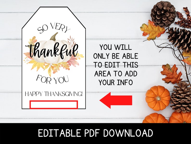 Printable Thanksgiving Gift Tag: Pumpkin Design (instant Download) - Etsy