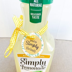 Lemonade Gift Tag: Employee Teacher Appreciation (instant Download) - Etsy