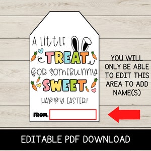 Printable Easter Bunny Treat Tag: Editable Gift Favor (instant Download ...