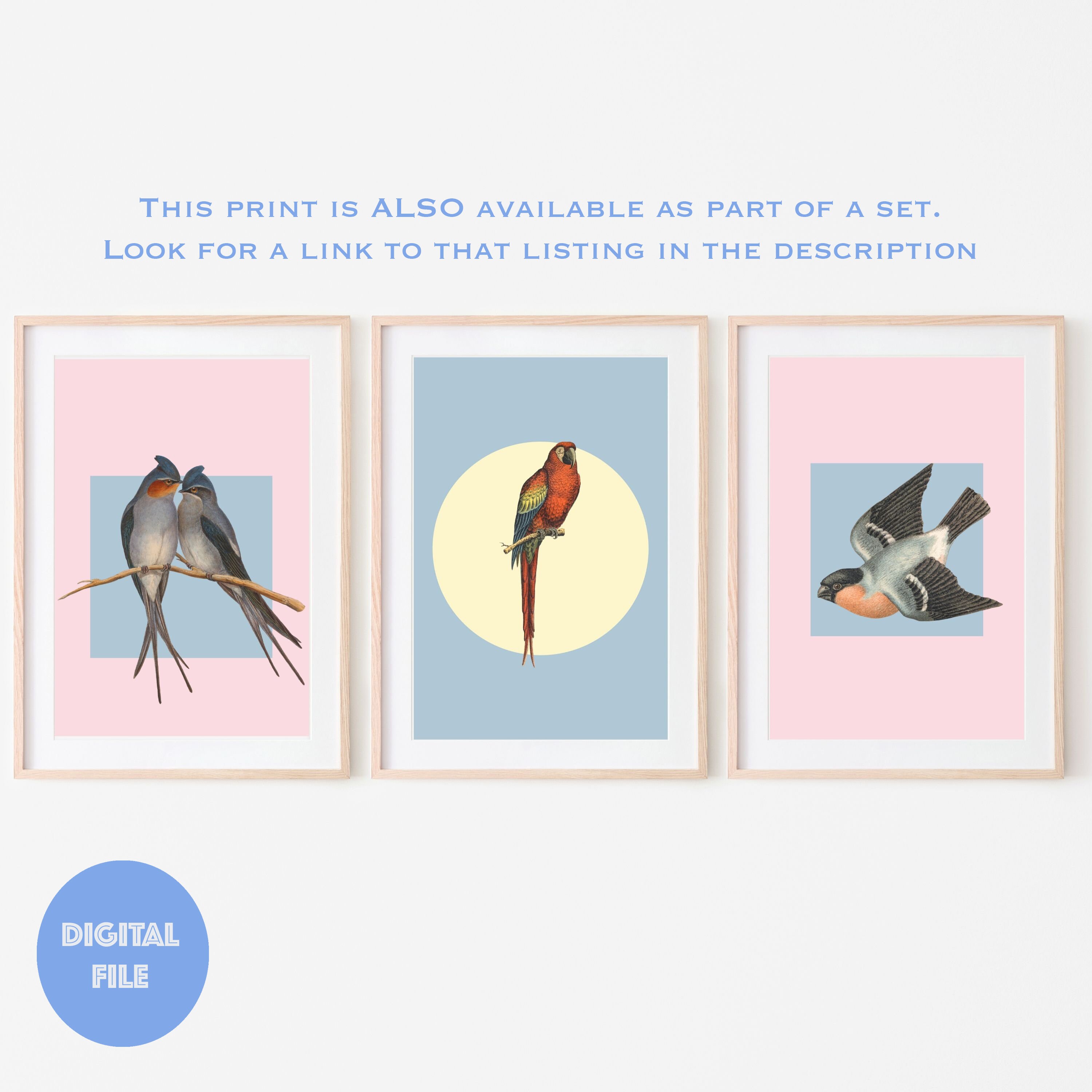 Vintage Bird Collage Print / INSTANT DOWNLOAD / Unique Printable Wall ...