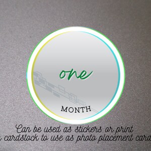 Baby Monthly Milestone Stickers, Milestone Cards, Round Sticker, Photo ...