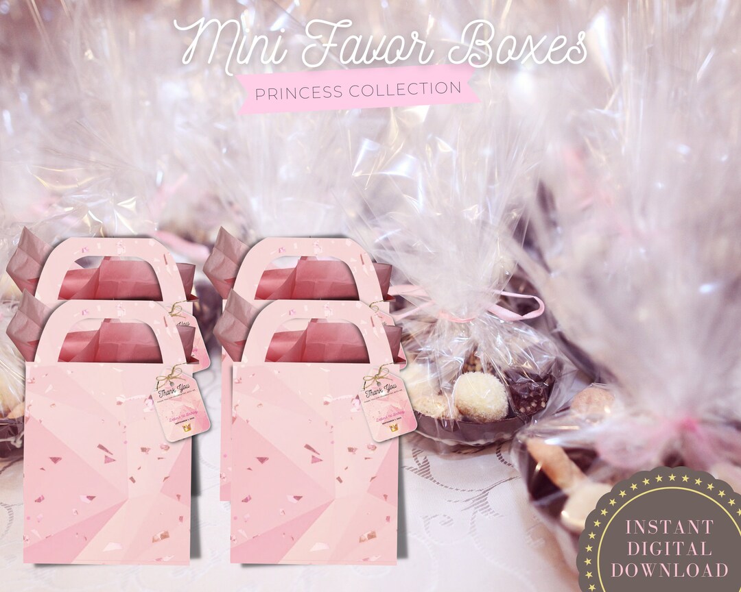 PRINCESS Mini Favor Boxes | Mini Party Favor Gift Bags, Birthday ...