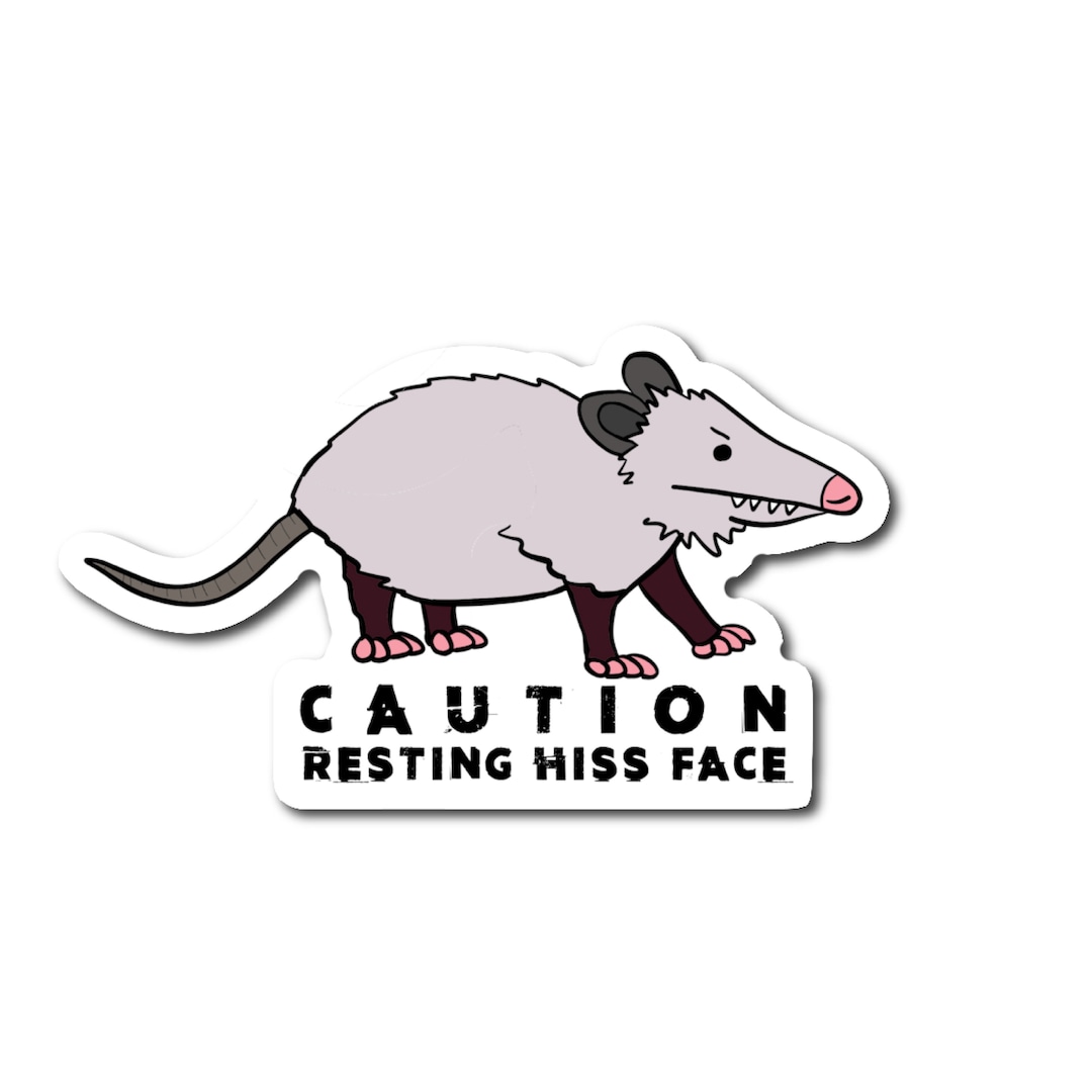Resting Hiss Face Opossum Sticker | Funny Waterproof Vinyl Decal - Etsy