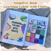 Rhyming Words Interactive Book for Special Education - Etsy