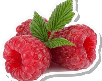Raspberry Sticker - Etsy