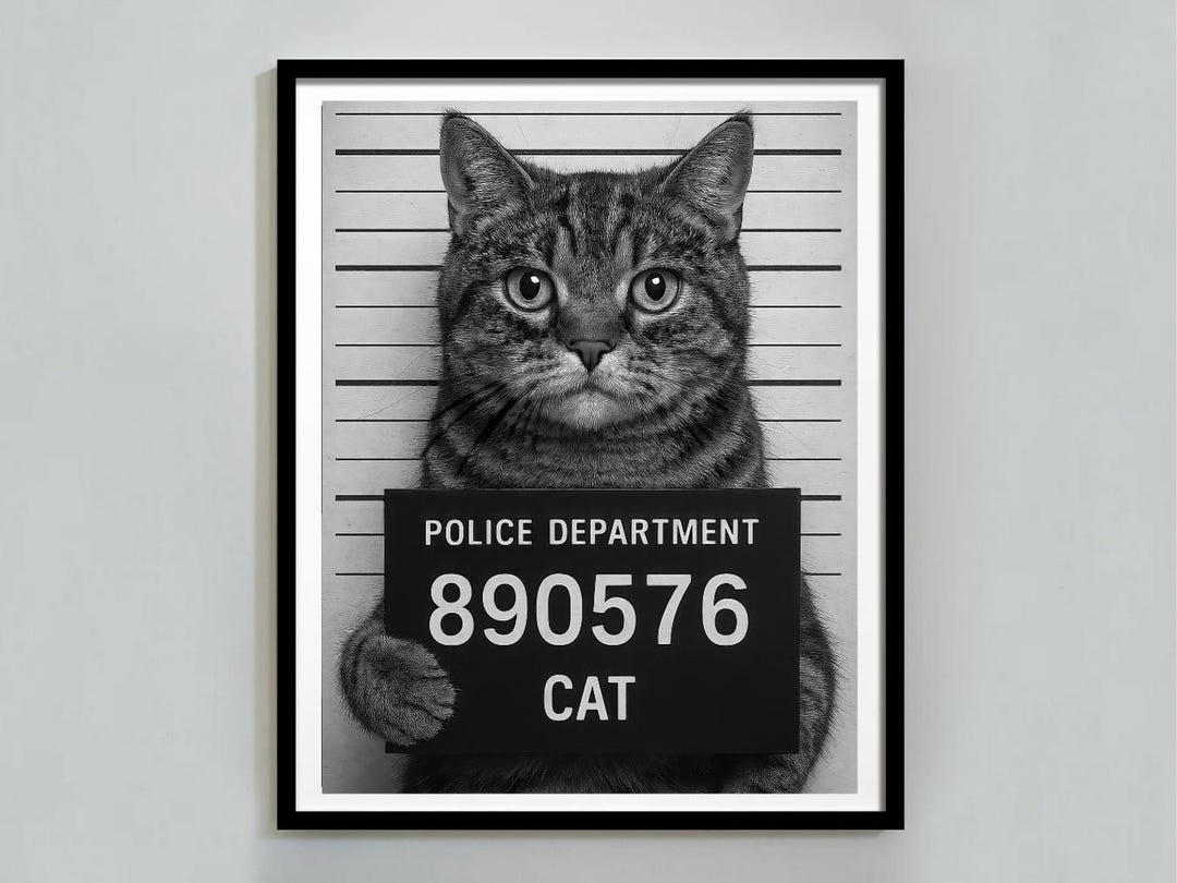 Funny Mugshot Cat Poster, Pet Portrait Wall Art, Cat Prisoner Print ...