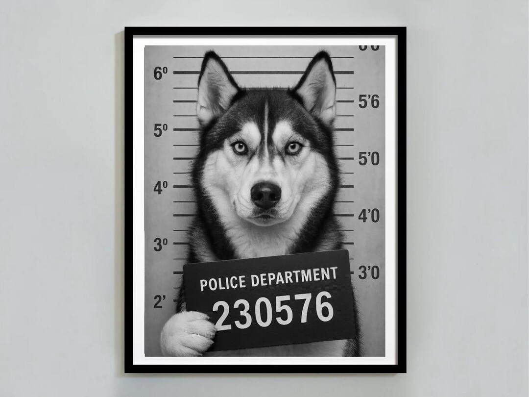 Funny Dog Mugshot Poster, Husky, Black and White, Funny Pet Arrest ...