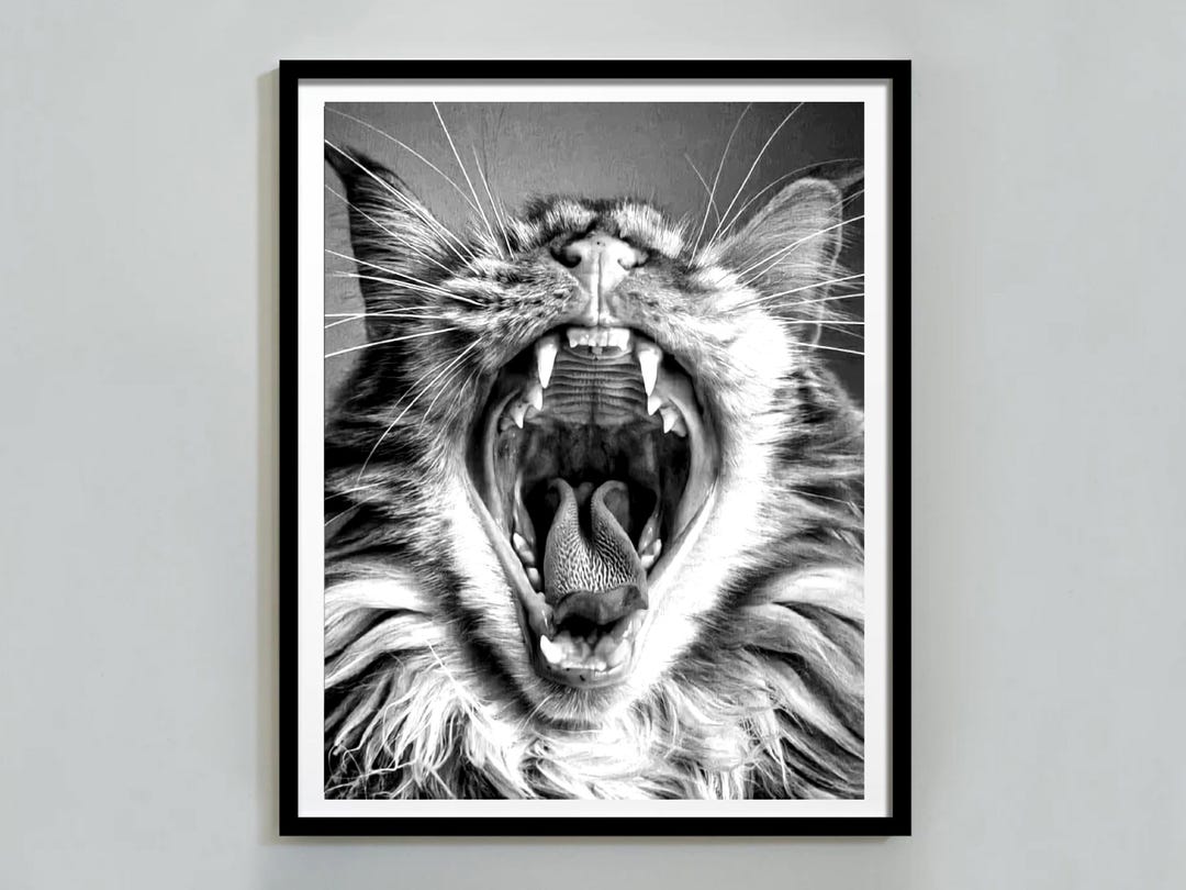 Vintage Cat Print, Cat Print Wall Art, Cat Printable Poster, Animal ...