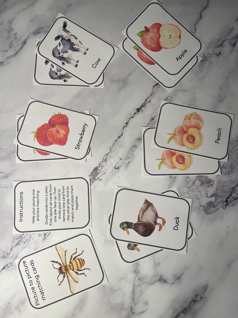 Picture Matching Cards- DIGITAL - Etsy