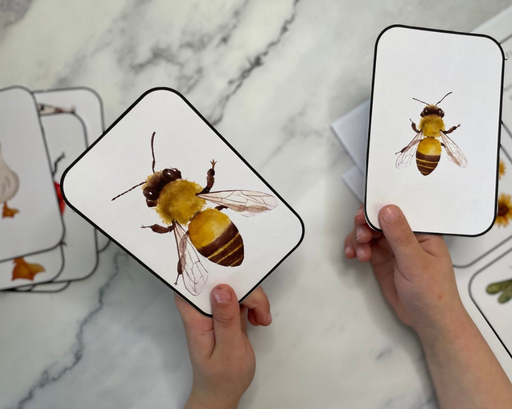 Greater Than/ Less Than Flash Cards- DIGITAL - Etsy