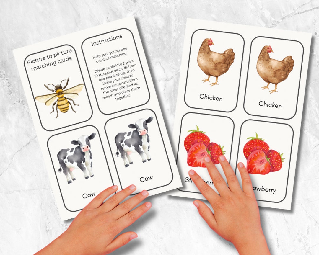 Picture Matching Cards- DIGITAL - Etsy