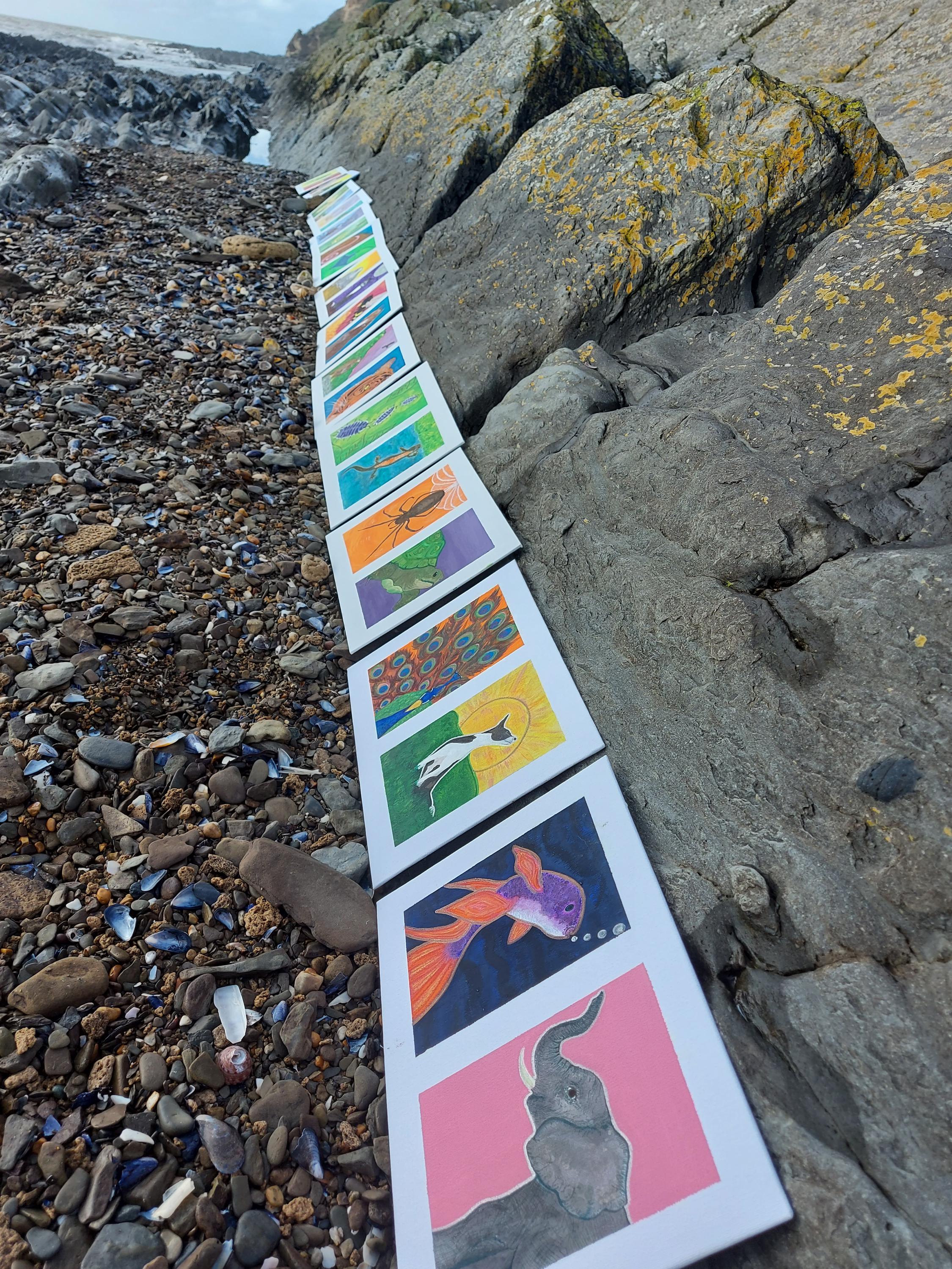 Limited Edition Animal Spirit Guide Oracle Deck - Oracle Cards - Deck ...