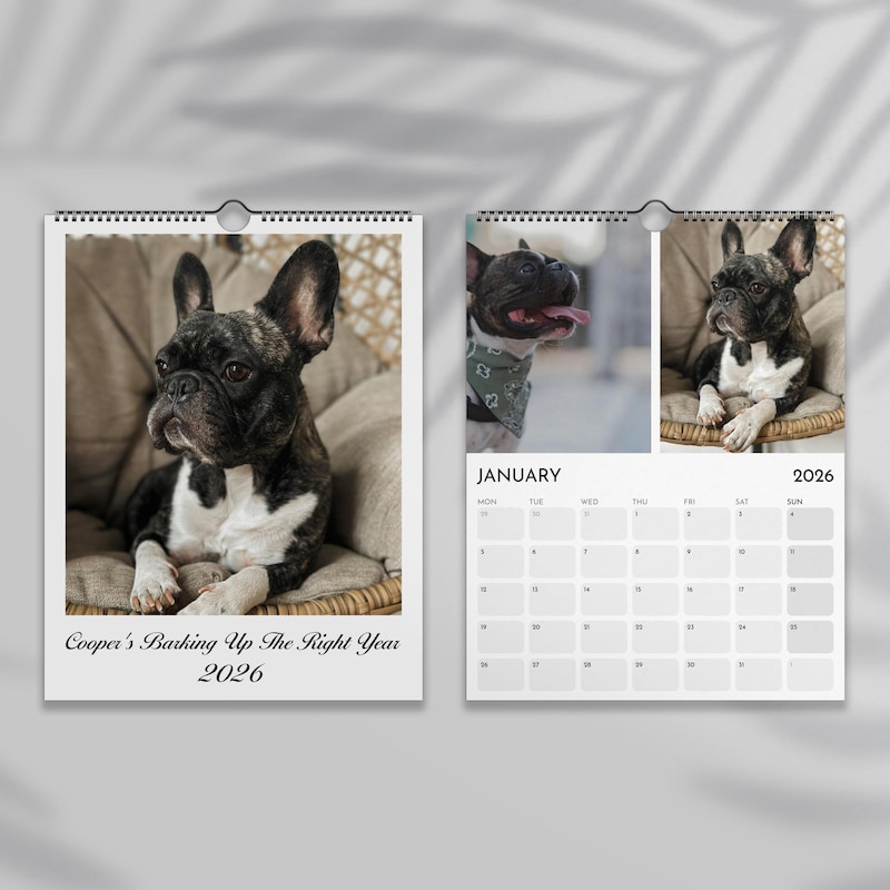 2026 Dog Calender - Etsy
