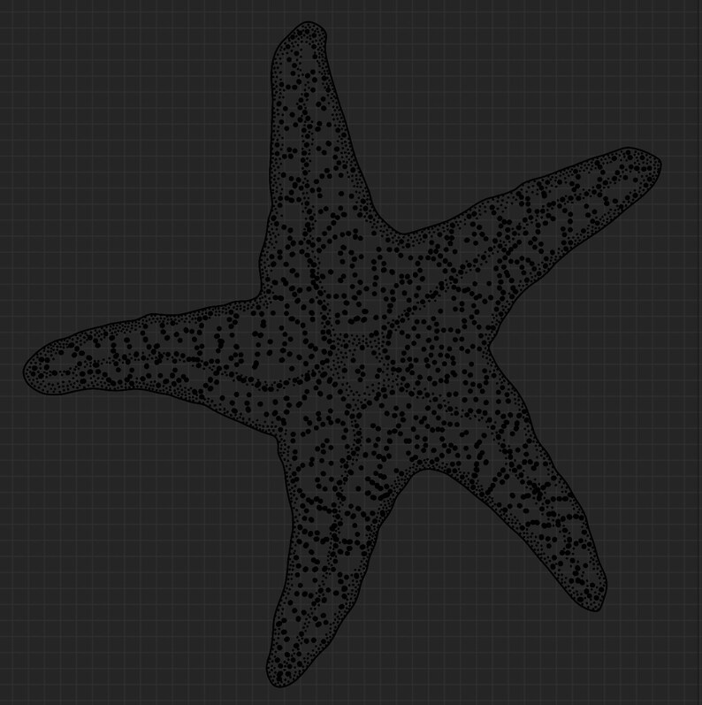 Seastar Digital SVG and Transparent PNG File - Etsy