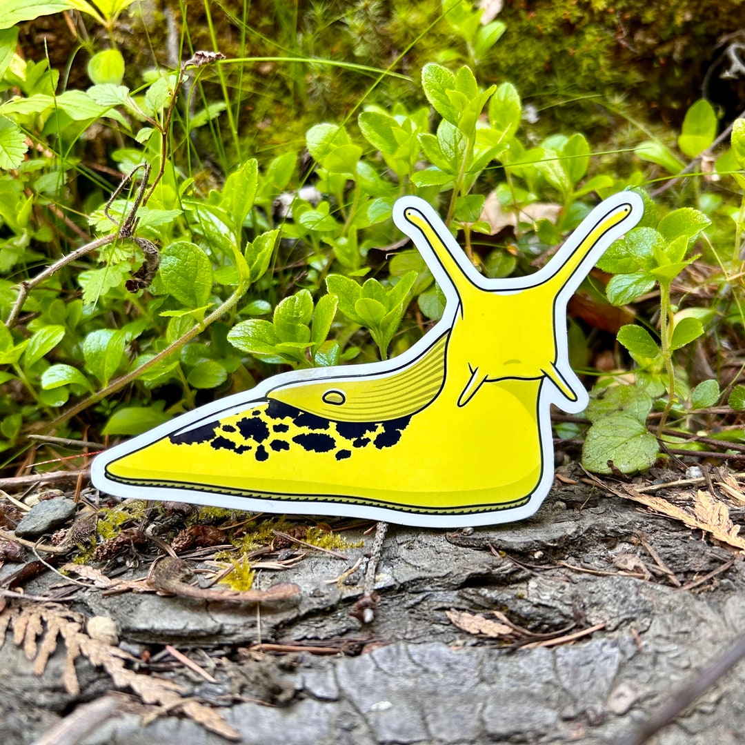 Banana Slug Sticker - Etsy