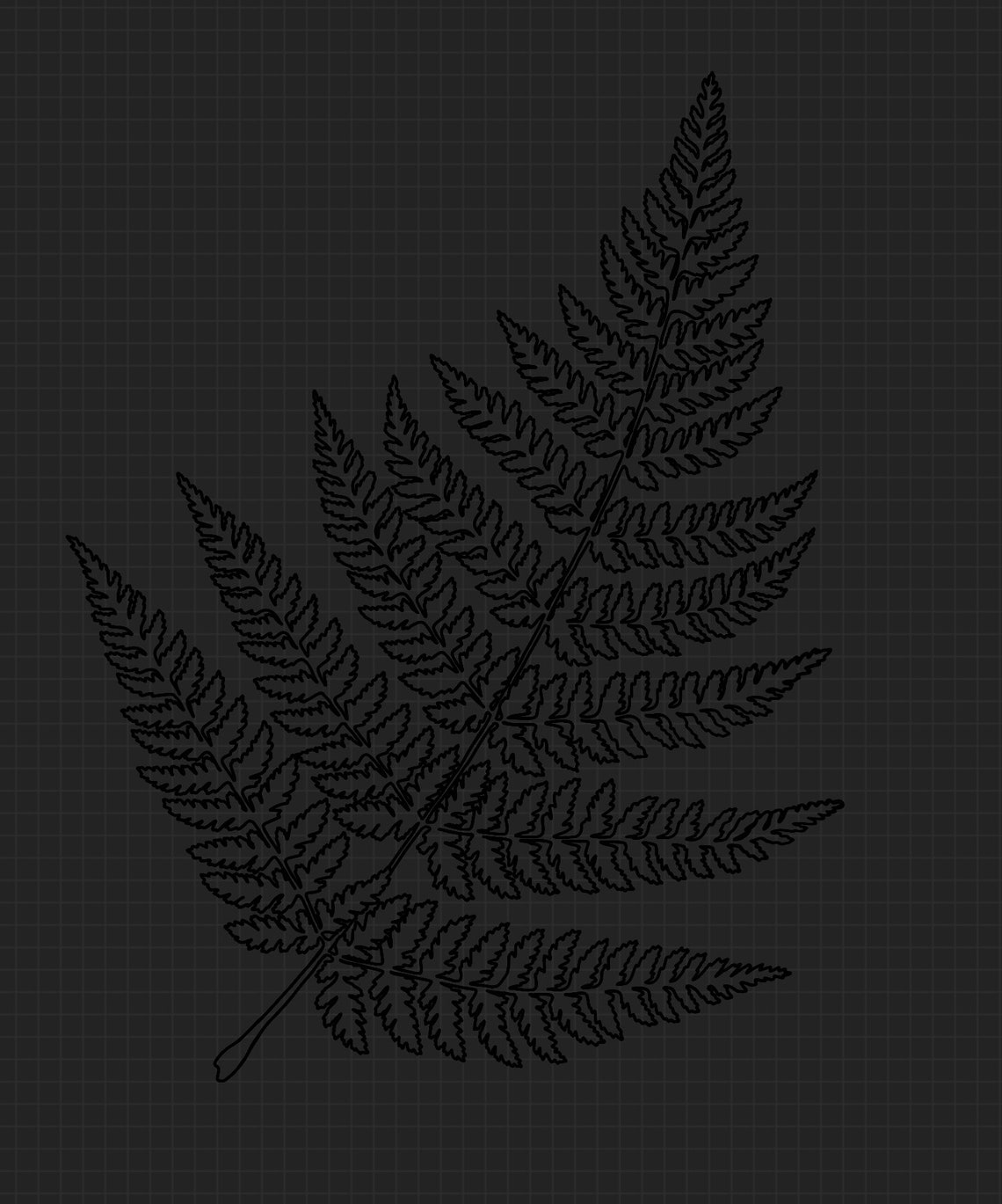 Fern Leaf Digital SVG File and Transparent PNG File - Etsy