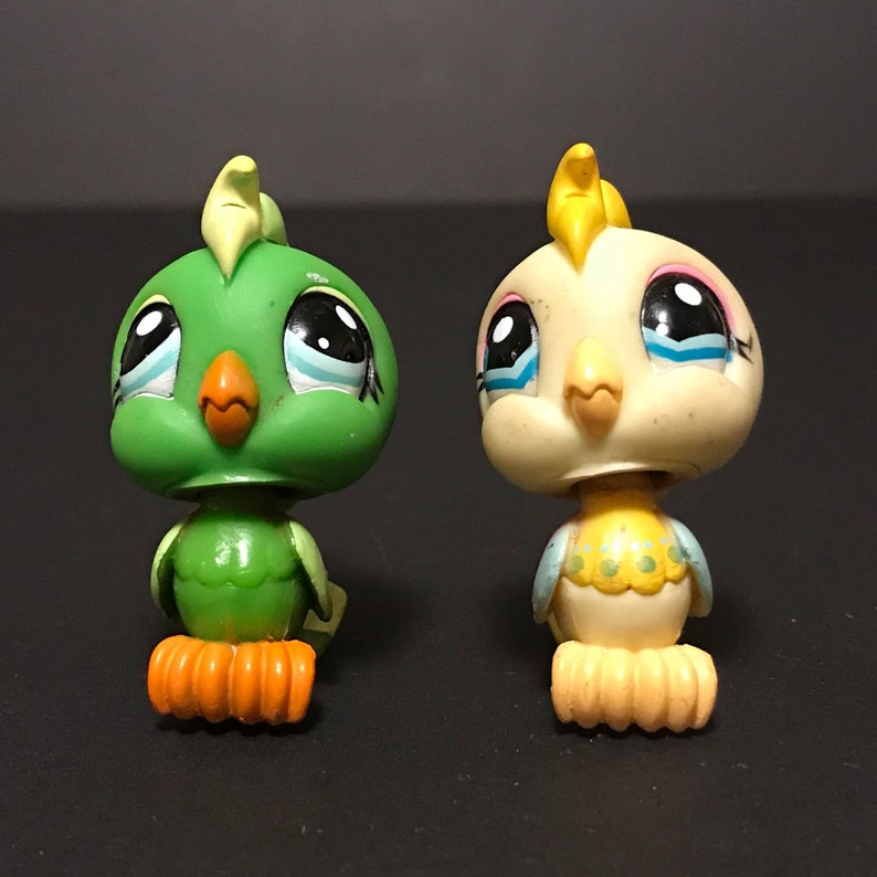 Littlest Pet Shop LPS Authentic Cockatoo 1369 green Blue - Etsy
