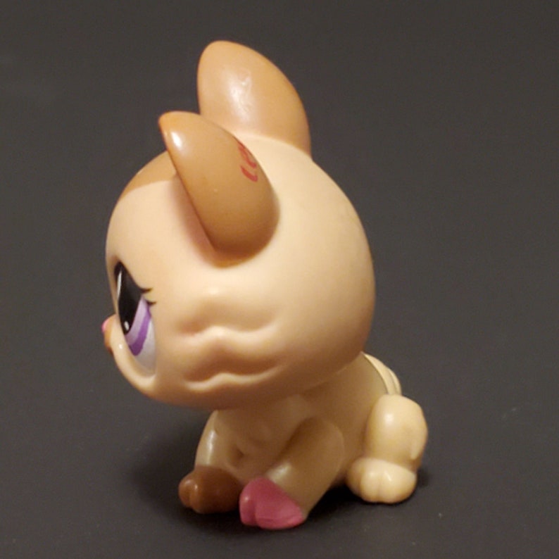 Littlest Pet Shop LPS Authentic Cat 1584 Cat Collectible - Etsy