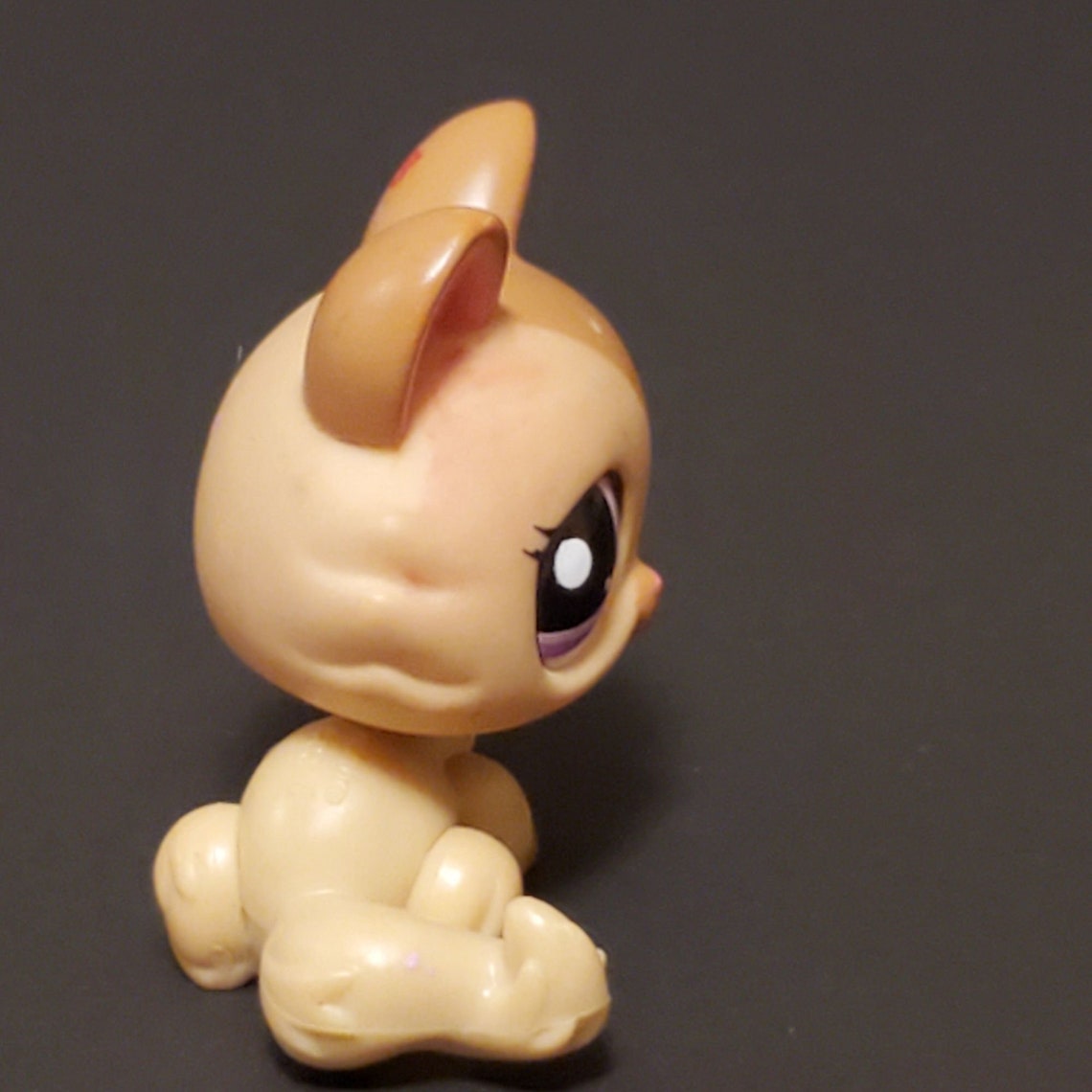 Littlest Pet Shop LPS Authentic Cat 1584 Cat Collectible - Etsy