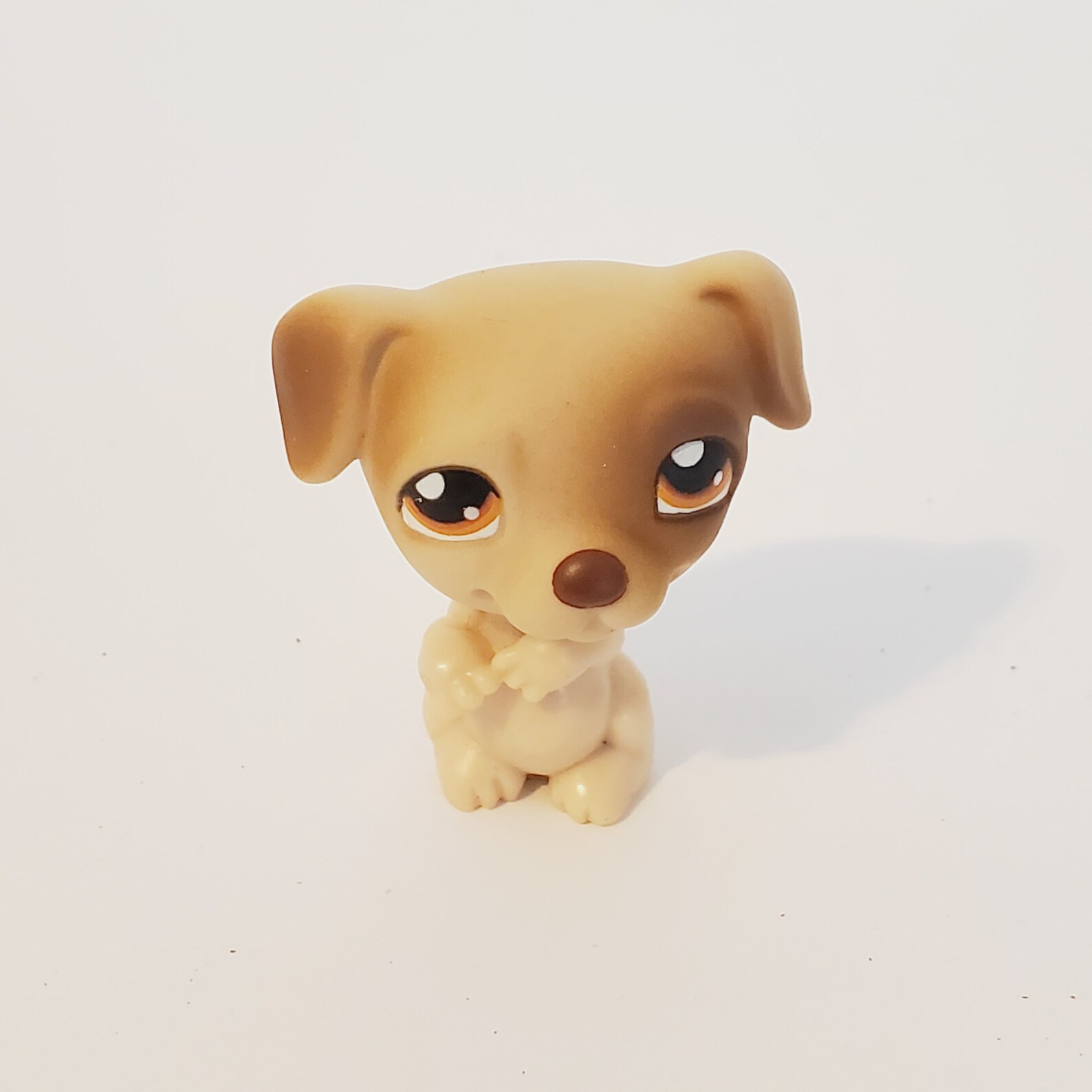 LPS Littlest Pet Shop Retriever 21 PC 129 calla - Etsy