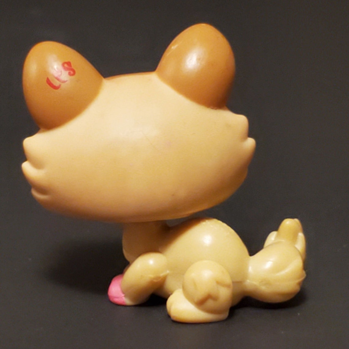 Littlest Pet Shop LPS Authentic Cat 1584 Cat Collectible - Etsy