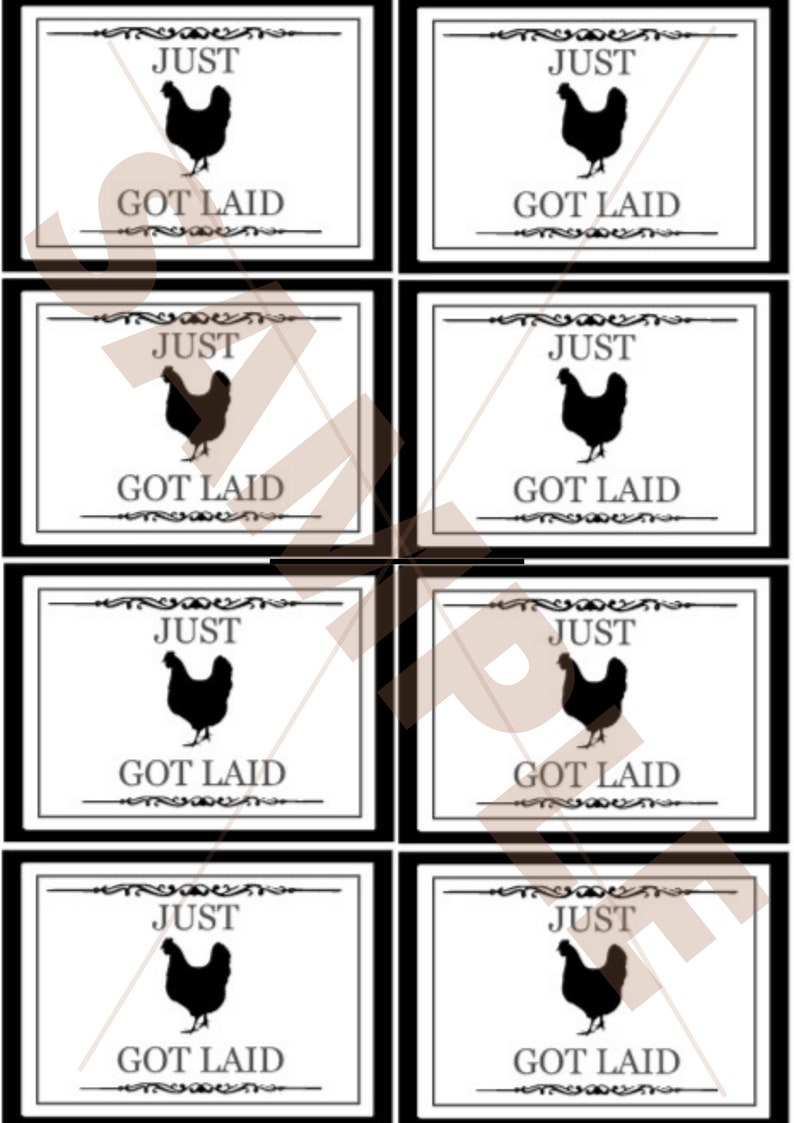 Egg Carton Label, Sticker, Farm Label, Chicken Coop, Hen Stickers, DIY ...