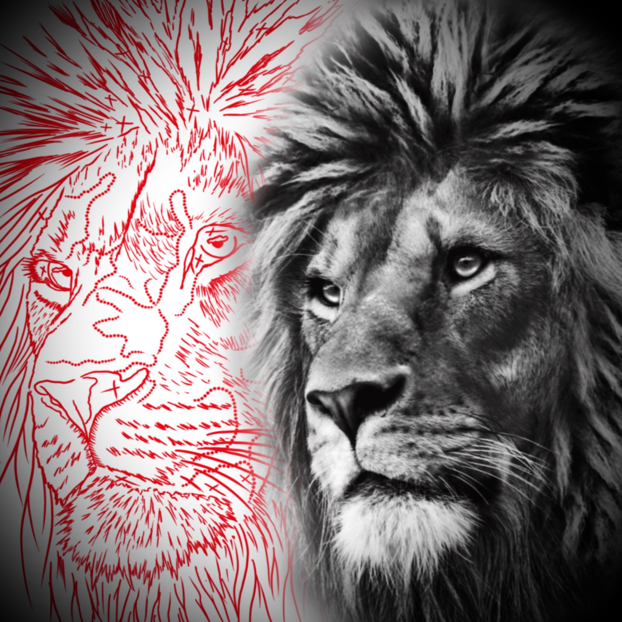 Procreate Lion Tattoo Stencils - Etsy