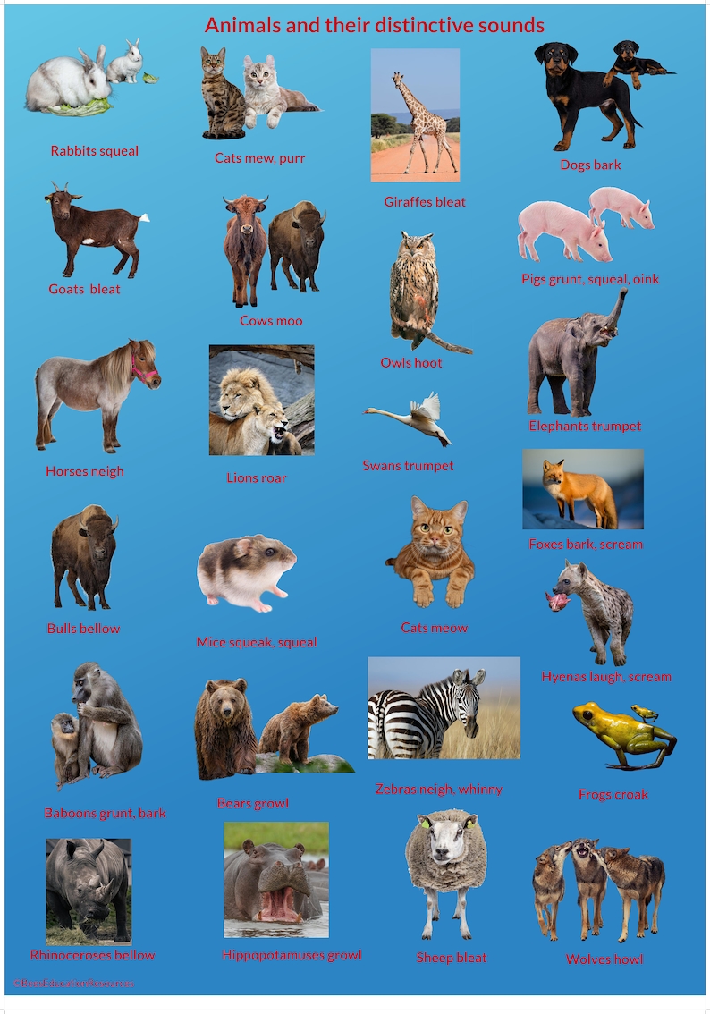Animals and Their Distinctive Sounds, Home Learning, Pre School, Wall ...
