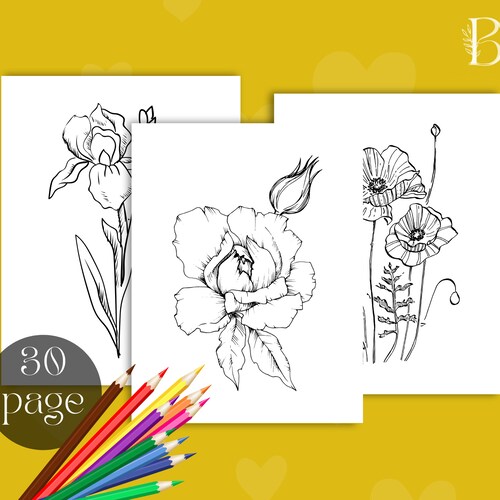 Printable Adult Coloring Pages Botanical Floral Sketches - Etsy