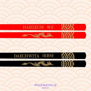 Haegeum + Daechwita Chopsticks | Moonchild Market - Etsy