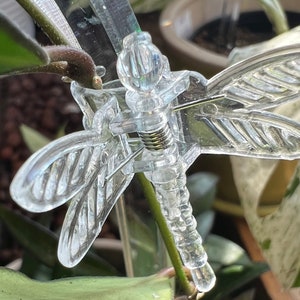 Plant Suncatcher Arch Trellis, Hoya Prism Crystal Acrylic Support ...