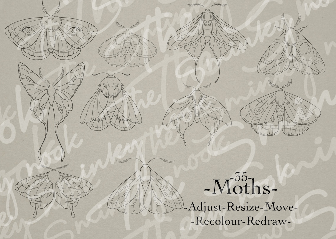 Procreate Neo Traditional Moth Brush Stamps for Procreate - Etsy