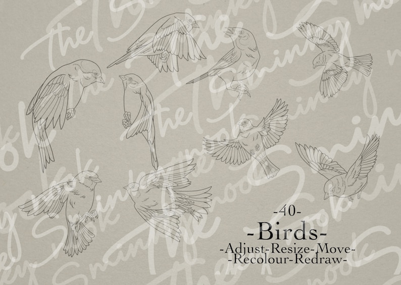 Procreate Neo Traditional Birds, Bird Tattoo Stamps and Brushes - Etsy