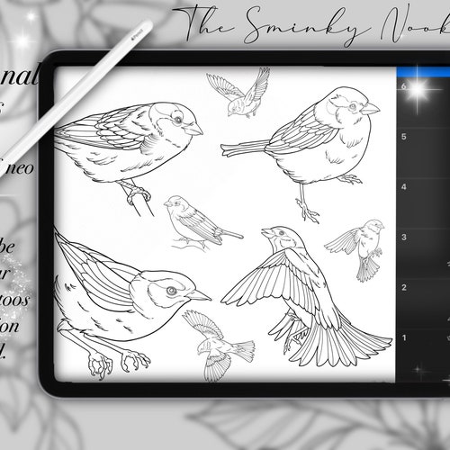 Procreate Neo Traditional Birds Bird Tattoo Stamps and - Etsy