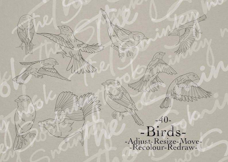 Procreate Neo Traditional Birds, Bird Tattoo Stamps and Brushes - Etsy
